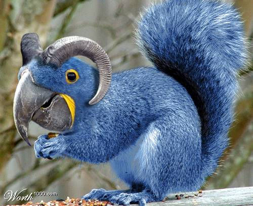 PARQUE NACIONAL DE ESPECIES RARAS